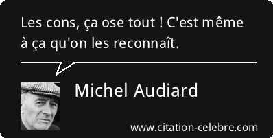 citation-michel-audiard-45695 - TINTINOMANIA